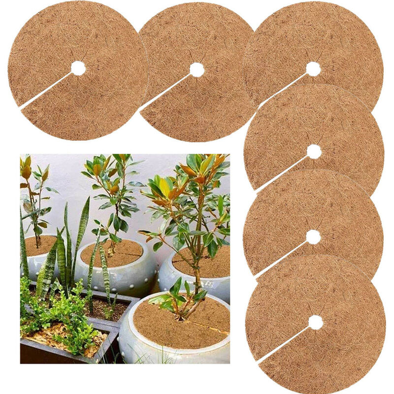 Pieces Mulching Disc Winter Protection For Potted Plants Mat ...